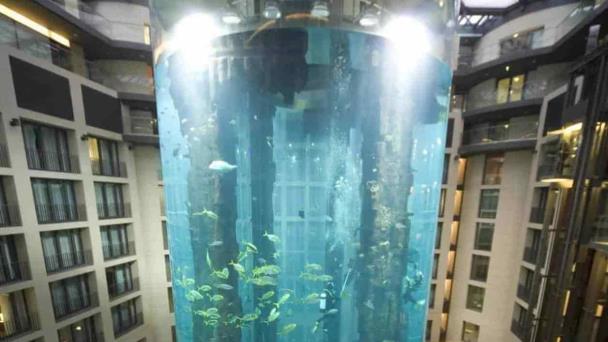 Explota gigantesco acuario en Berlín; Dos heridos y miles de peces muertos