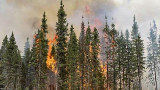 México envía 100 combatientes para sofocar los incendios forestales de ...