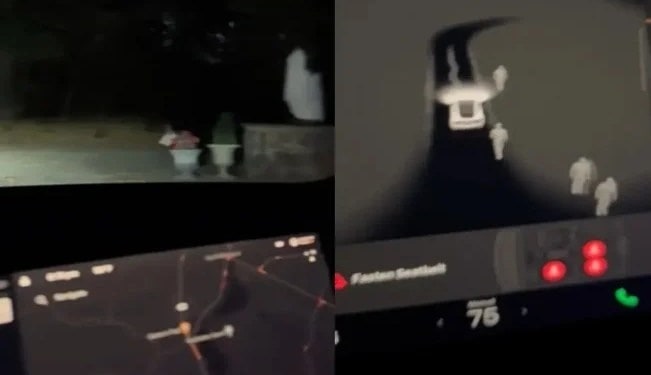 Tesla detecta seres humanos caminando en un cementerio vacío