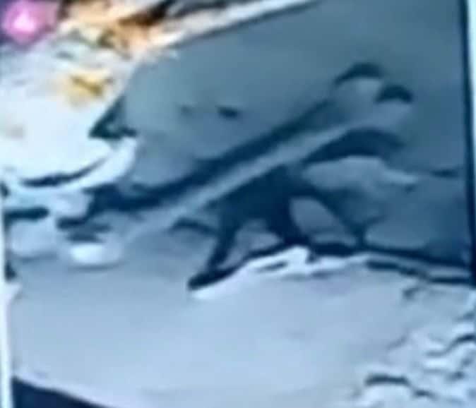 Confirman hallazgo de restos humanos